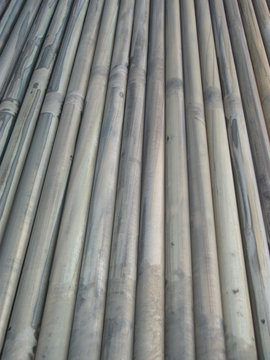 Tij Images – Browse 61 Stock Photos, Vectors, and Video | Adobe Stock