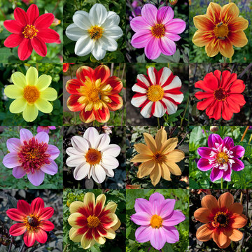 รูปภาพRabatten – เลือกดูภาพถ่ายสต็อก เวกเตอร์ และวิดีโอ1,474 | Adobe Stock