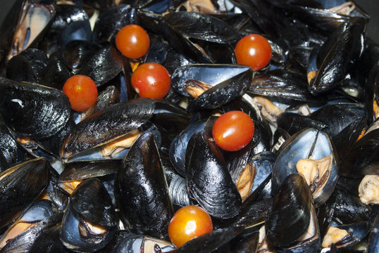 รูปภาพSeafruit – เลือกดูภาพถ่ายสต็อก เวกเตอร์ และวิดีโอ296 | Adobe Stock