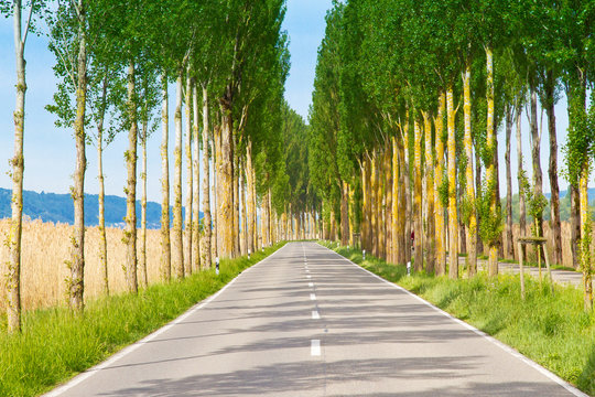 Pappelallee Images – Browse 213 Stock Photos, Vectors, and Video ...