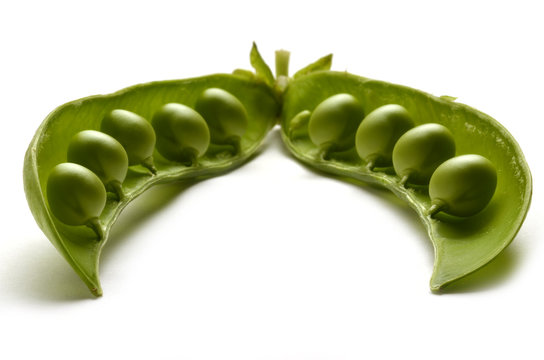 「Erwt」の写真素材 | 17件の無料イラスト画像 | Adobe Stock