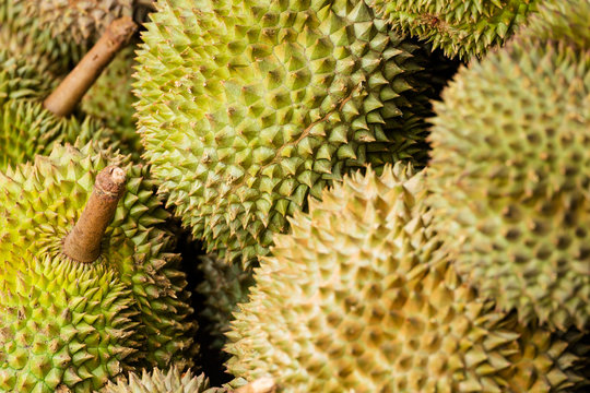 รูปภาพStinkfrucht – เลือกดูภาพถ่ายสต็อก เวกเตอร์ และวิดีโอ119 | Adobe Stock