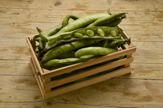 Bacello bilder – Bläddra bland 249 stockfoton, vektorer och videor ...