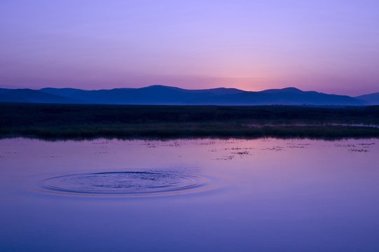 Ripplet Images – Browse 58 Stock Photos, Vectors, and Video | Adobe Stock