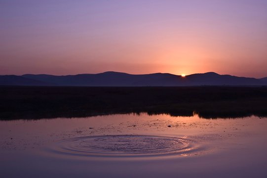 Ripplet Images – Browse 58 Stock Photos, Vectors, and Video | Adobe Stock