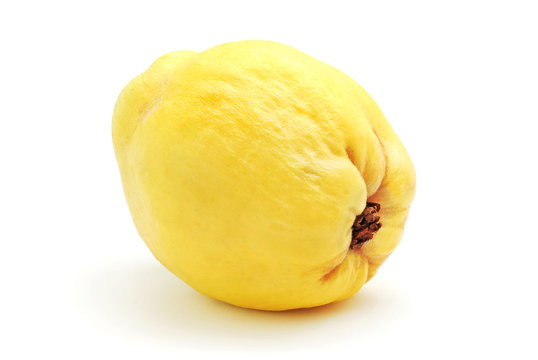 Quitten-Bilder: Stock-Fotos & -Videos. | Adobe Stock