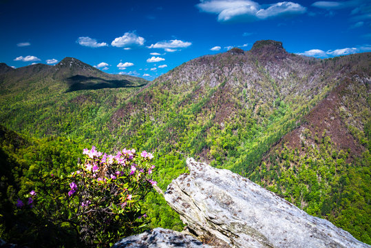 รูปภาพSkiba – เลือกดูภาพถ่ายสต็อก เวกเตอร์ และวิดีโอ80 | Adobe Stock