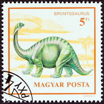 Elosaurus Images – Browse 4 Stock Photos, Vectors, and Video | Adobe Stock