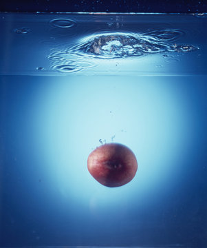 「Ripplet」の写真素材 | 61件の無料イラスト画像 | Adobe Stock