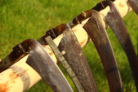 Sense Bilder – Durchsuchen 117,768 Archivfotos, Vektorgrafiken und ...