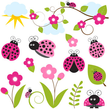 Cute Pink Ladybug