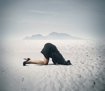 Ostrich Head In Sand Bilder – Durchsuchen 1,514 Archivfotos ...