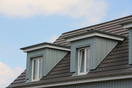 Imágenes de Gauben: descubre bancos de fotos, ilustraciones, vectores y ...