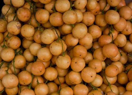 Imágenes de Rambai: descubre bancos de fotos, ilustraciones, vectores y ...