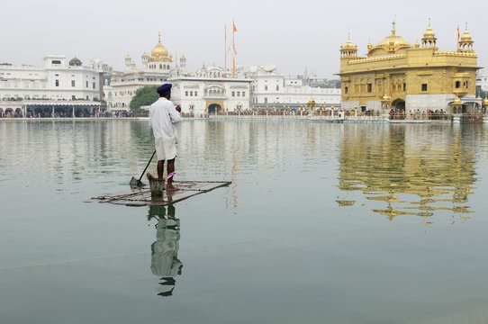 Amstar Images – Browse 59 Stock Photos, Vectors, and Video | Adobe Stock