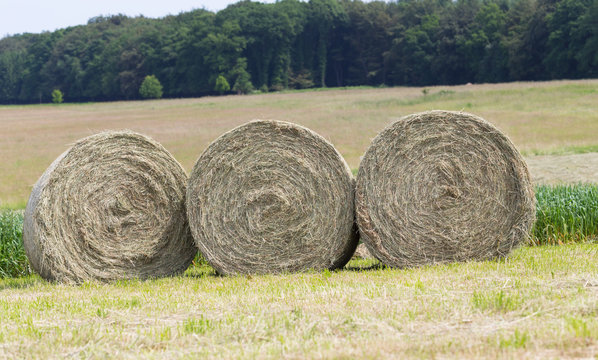 「Heurolle」の画像 - 192 件の Stock 写真、ベクターおよびビデオ | Adobe Stock