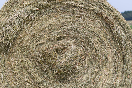 「Heurolle」の画像 - 192 件の Stock 写真、ベクターおよびビデオ | Adobe Stock