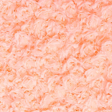 "Old Rose Color" Images – Browse 96 Stock Photos, Vectors, and Video ...