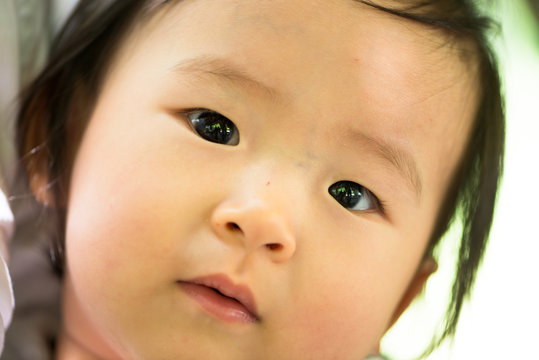 Korean Babies
