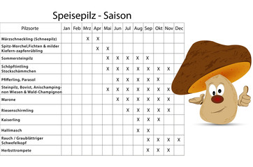 Fotos, lizenzfreie Bilder, Grafiken, Vektoren und Videos von "pilz ...