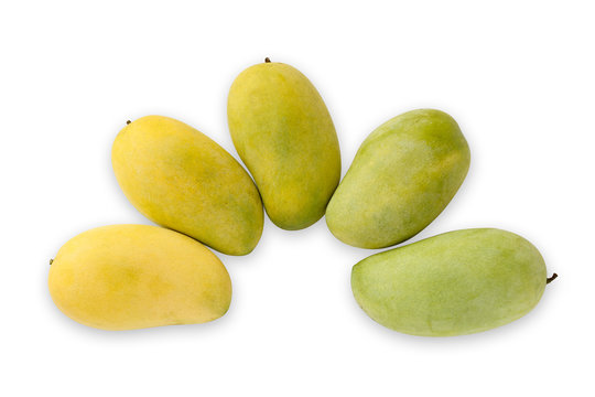 "Yellow Mango" Images – Browse 1,153 Stock Photos, Vectors, and Video ...