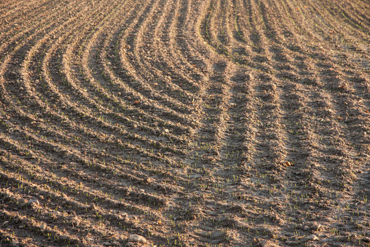 รูปภาพReifenspur – เลือกดูภาพถ่ายสต็อก เวกเตอร์ และวิดีโอ1,047 | Adobe ...