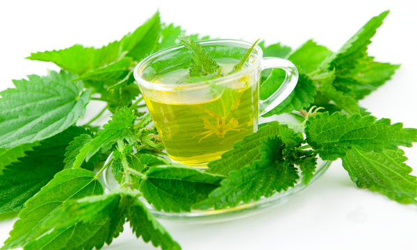 Brennesseltee Bilder – Durchsuchen 2,860 Archivfotos, Vektorgrafiken ...