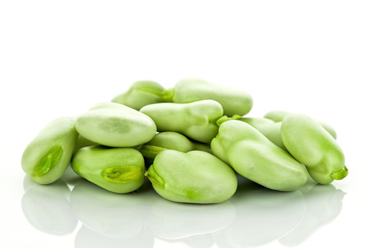 「Caryopse」の画像 - 21,452 件の Stock 写真、ベクターおよびビデオ | Adobe Stock