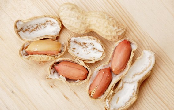 Bagigi Bilder – Durchsuchen 150 Archivfotos, Vektorgrafiken und Videos ...