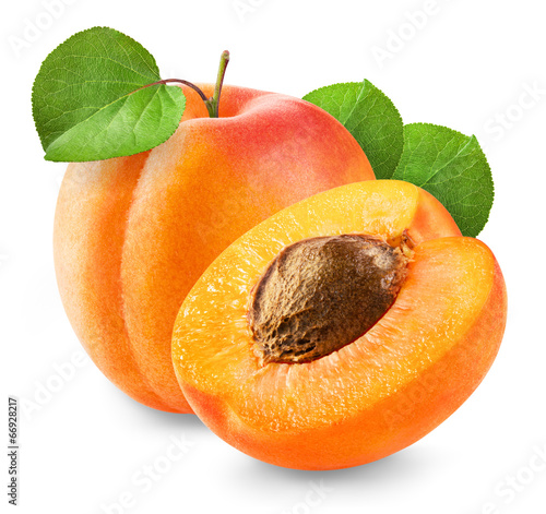 "Fresh apricot" Stock photo and royalty-free images on Fotolia.com ...