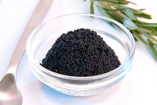 Fischei Bilder – Durchsuchen 28 Archivfotos, Vektorgrafiken und Videos ...