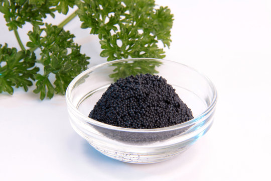 Fischei Bilder – Durchsuchen 28 Archivfotos, Vektorgrafiken und Videos ...