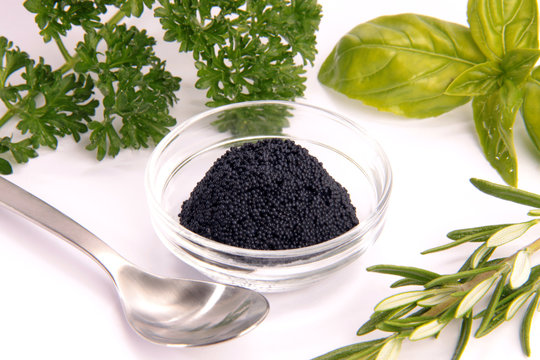 Fischei Bilder – Durchsuchen 28 Archivfotos, Vektorgrafiken und Videos ...