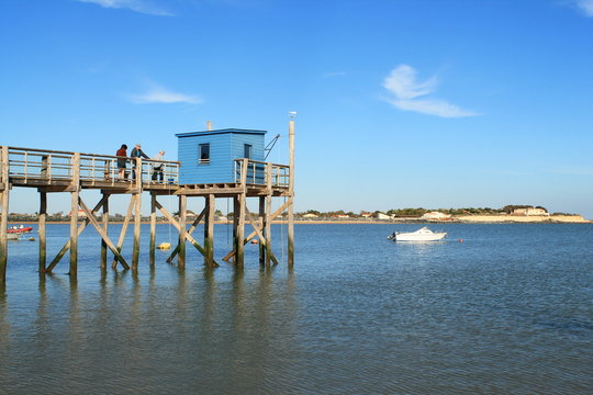 13,951 MEILLEURES Carrelet IMAGES, PHOTOS ET ILLUSTRATIONS VECTORIELLES ...