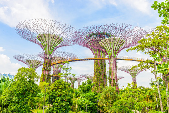 รูปภาพSupertree – เลือกดูภาพถ่ายสต็อก เวกเตอร์ และวิดีโอ5,520 | Adobe Stock