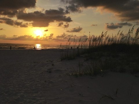 Icean Images – Browse 50 Stock Photos, Vectors, and Video | Adobe Stock