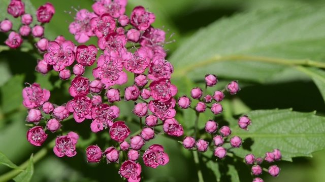 Spiere Images – Browse 188 Stock Photos, Vectors, and Video | Adobe Stock