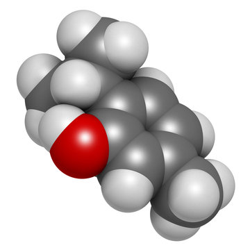 Tymol Images – Browse 37 Stock Photos, Vectors, and Video | Adobe Stock