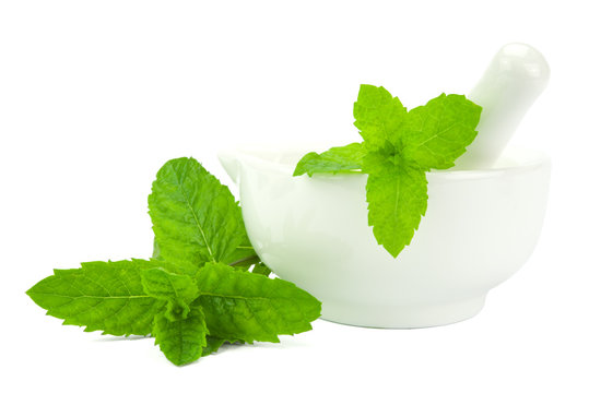 รูปภาพMinzblatt – เลือกดูภาพถ่ายสต็อก เวกเตอร์ และวิดีโอ990 | Adobe Stock