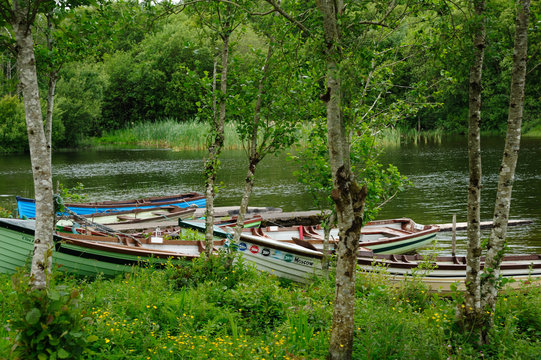 Nombreuse Bilder – Durchsuchen 131 Archivfotos, Vektorgrafiken und ...