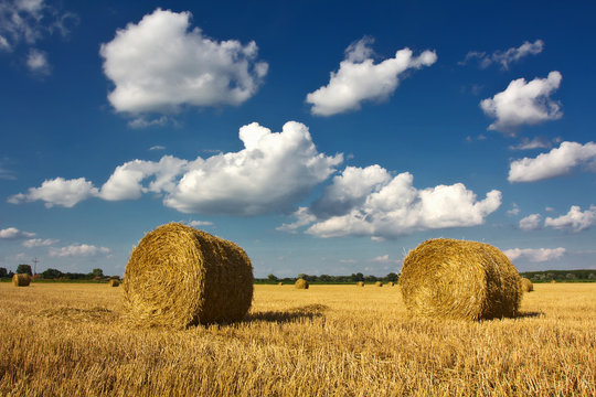 Bails Images – Browse 193,176 Stock Photos, Vectors, and Video | Adobe ...