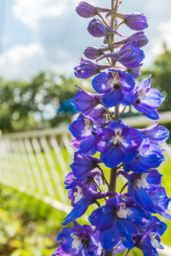 Klimatis Images – Browse 53 Stock Photos, Vectors, and Video | Adobe Stock