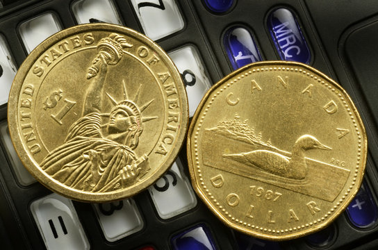 รูปภาพLoonie – เลือกดูภาพถ่ายสต็อก เวกเตอร์ และวิดีโอ369 | Adobe Stock