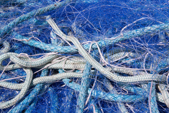 รูปภาพFlotter – เลือกดูภาพถ่ายสต็อก เวกเตอร์ และวิดีโอ4,990 | Adobe Stock