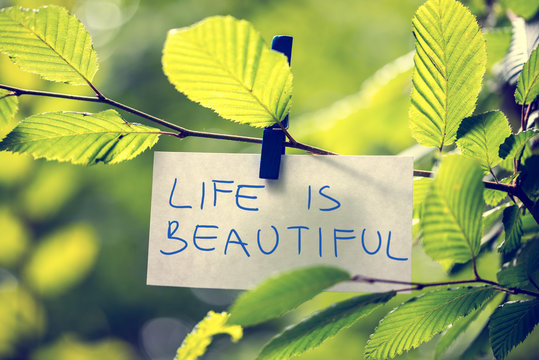 Life is beautiful wallpaper store