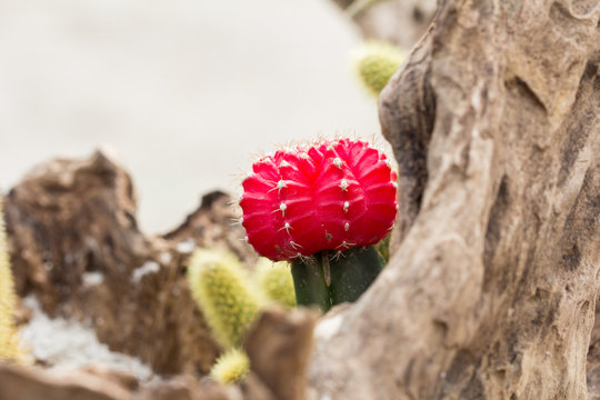 Hildm-Bilder: Stock-Fotos & -Videos. | Adobe Stock