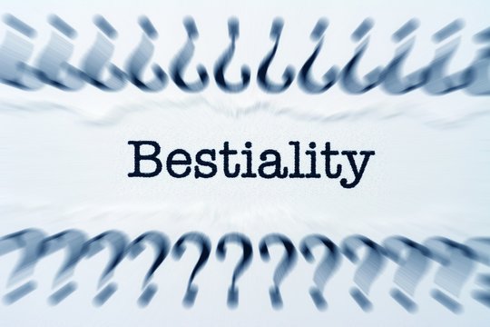 40 BEST Bestiality IMAGES, STOCK PHOTOS & VECTORS | Adobe Stock