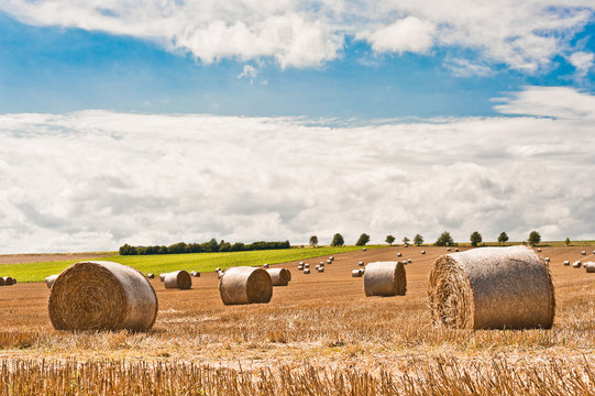 「Heurolle」の画像 - 192 件の Stock 写真、ベクターおよびビデオ | Adobe Stock