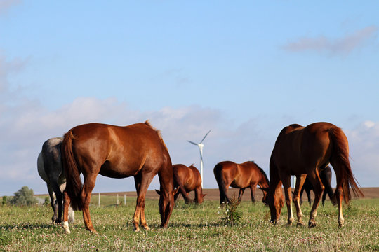 รูปภาพSoliped – เลือกดูภาพถ่ายสต็อก เวกเตอร์ และวิดีโอ14 | Adobe Stock