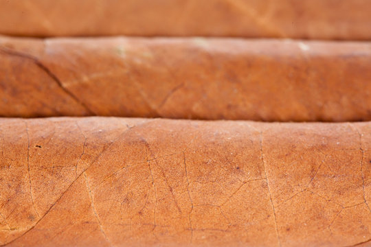 Cigar Texture